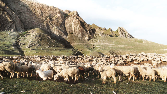 Luther et Myconius - APV